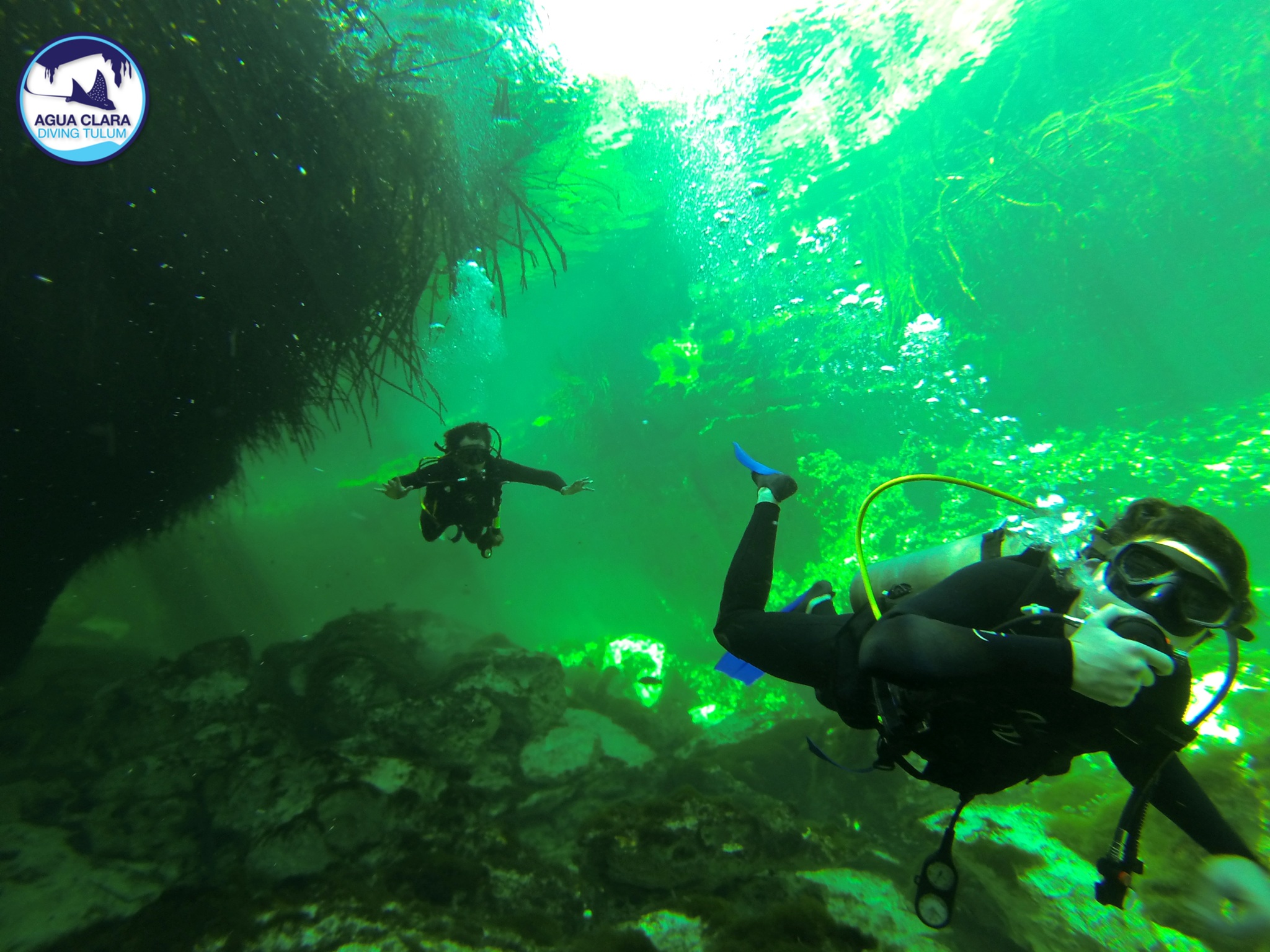 Agua Clara Diving Tulum | Discover Scuba Diving Tulum Agua Clara Diving Tulum | Discover Scuba Diving Tulum