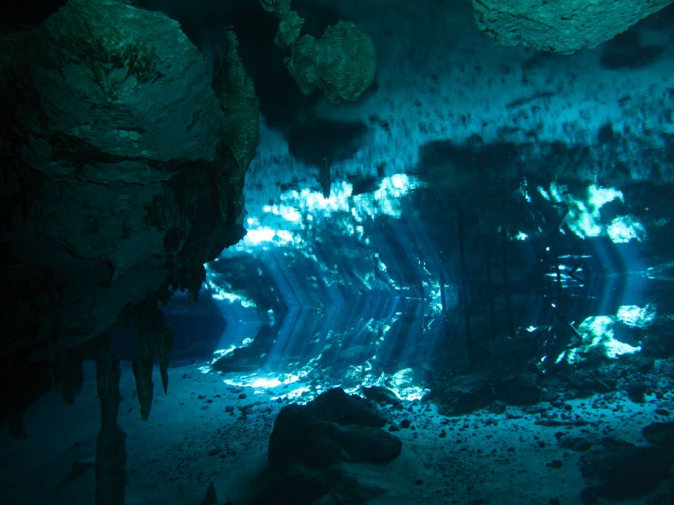 Diving in Tulum - Photos of an underwater tour