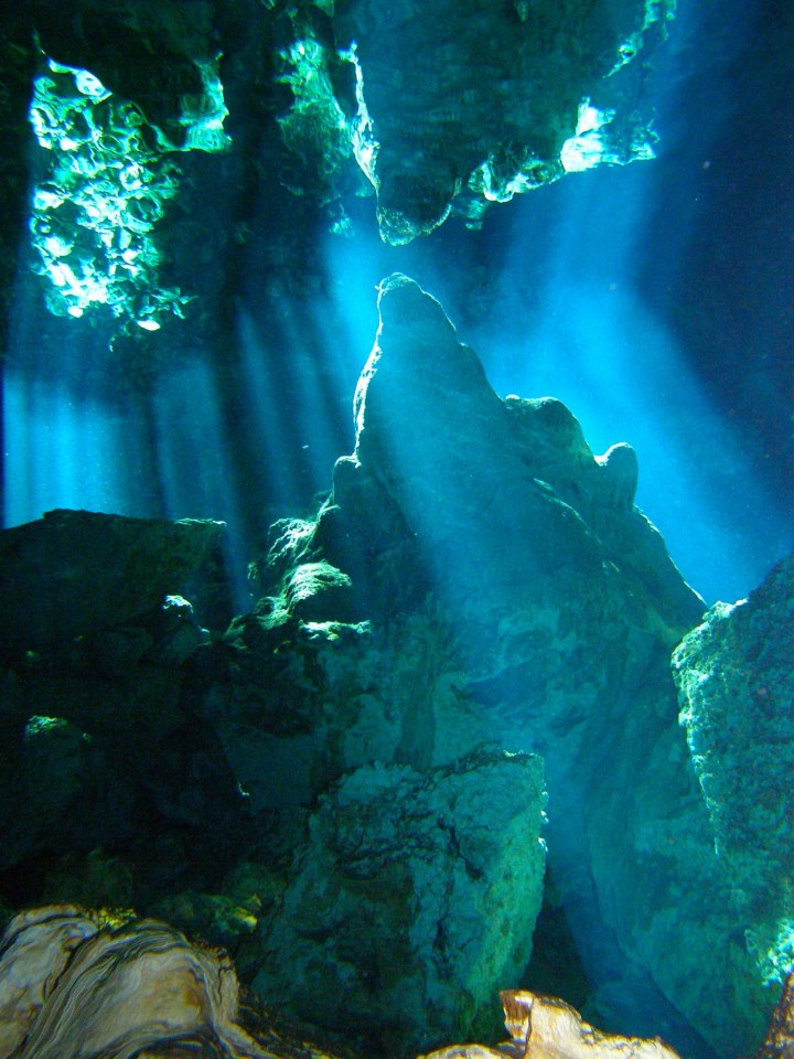 Diving in Tulum - Photos of an underwater tour