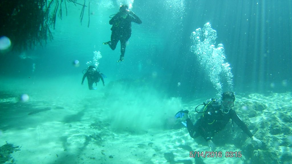 Nami's First Underwater Experience In Natural Swimming Pools | Agua ...