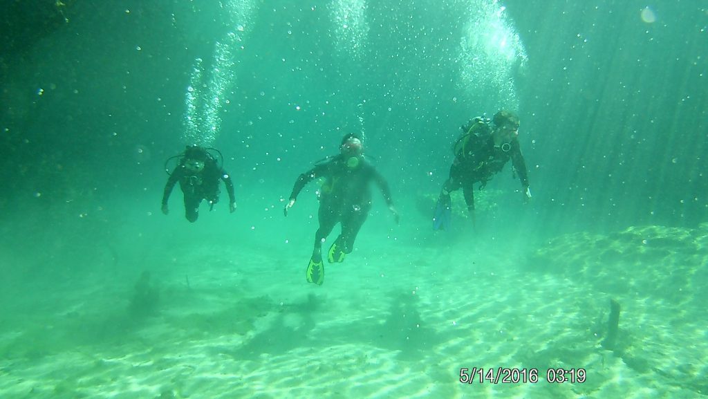 Nami's First Underwater Experience In Natural Swimming Pools | Agua ...