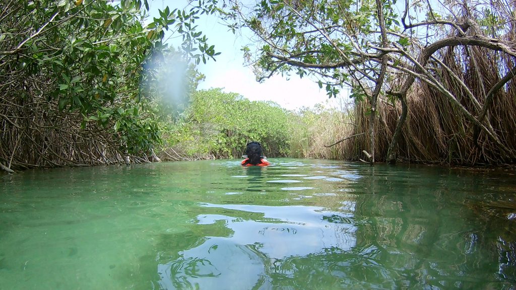 Sian Ka'an Floating Through Mayan Canals-Evan & Dora | Agua Clara ...