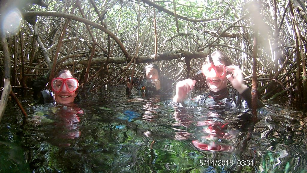 Nami's First Underwater Experience In Natural Swimming Pools | Agua ...