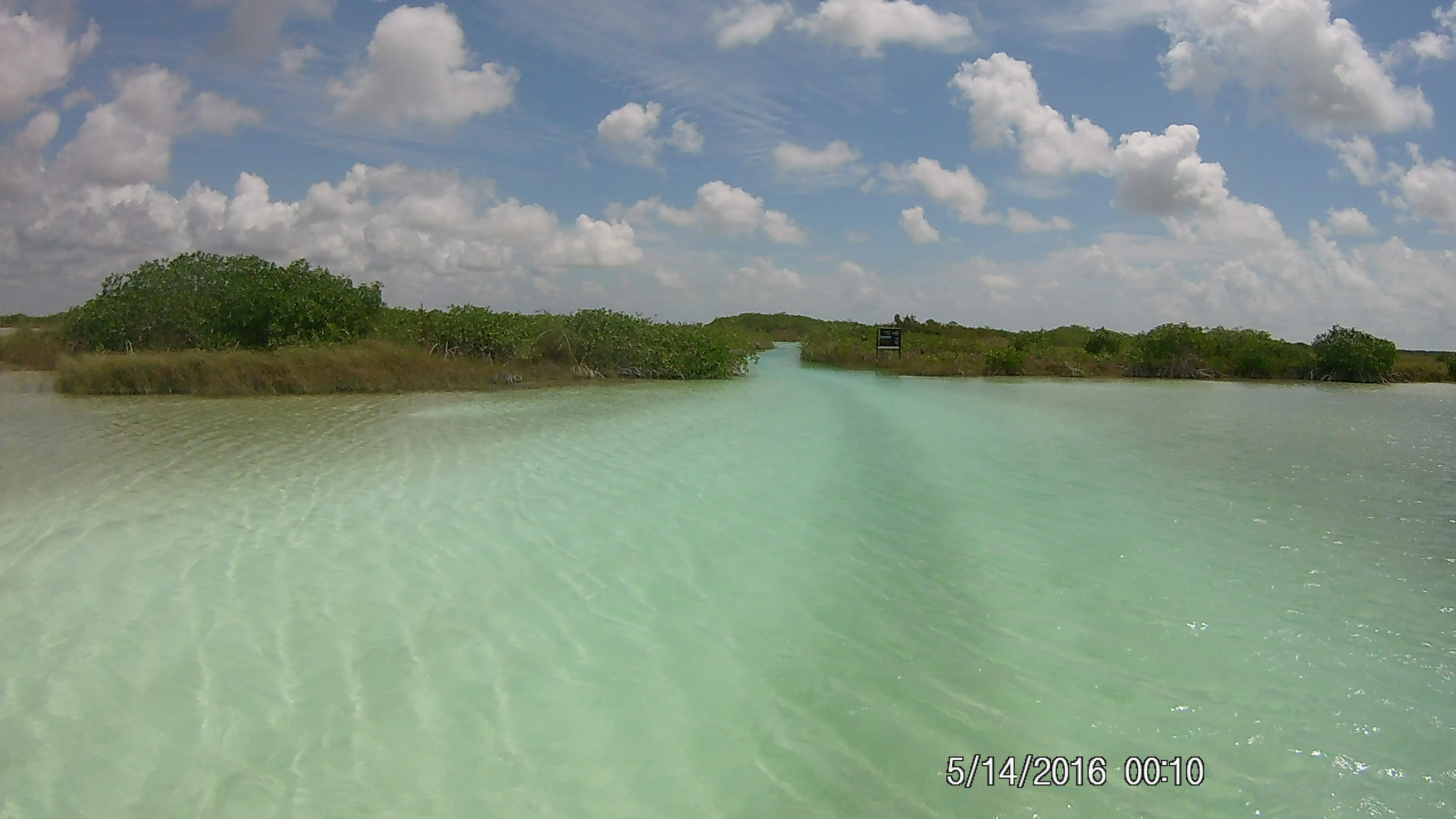 Sian Ka’an Floating Through Mayan Canals-Melanie | Agua Clara Diving Tulum