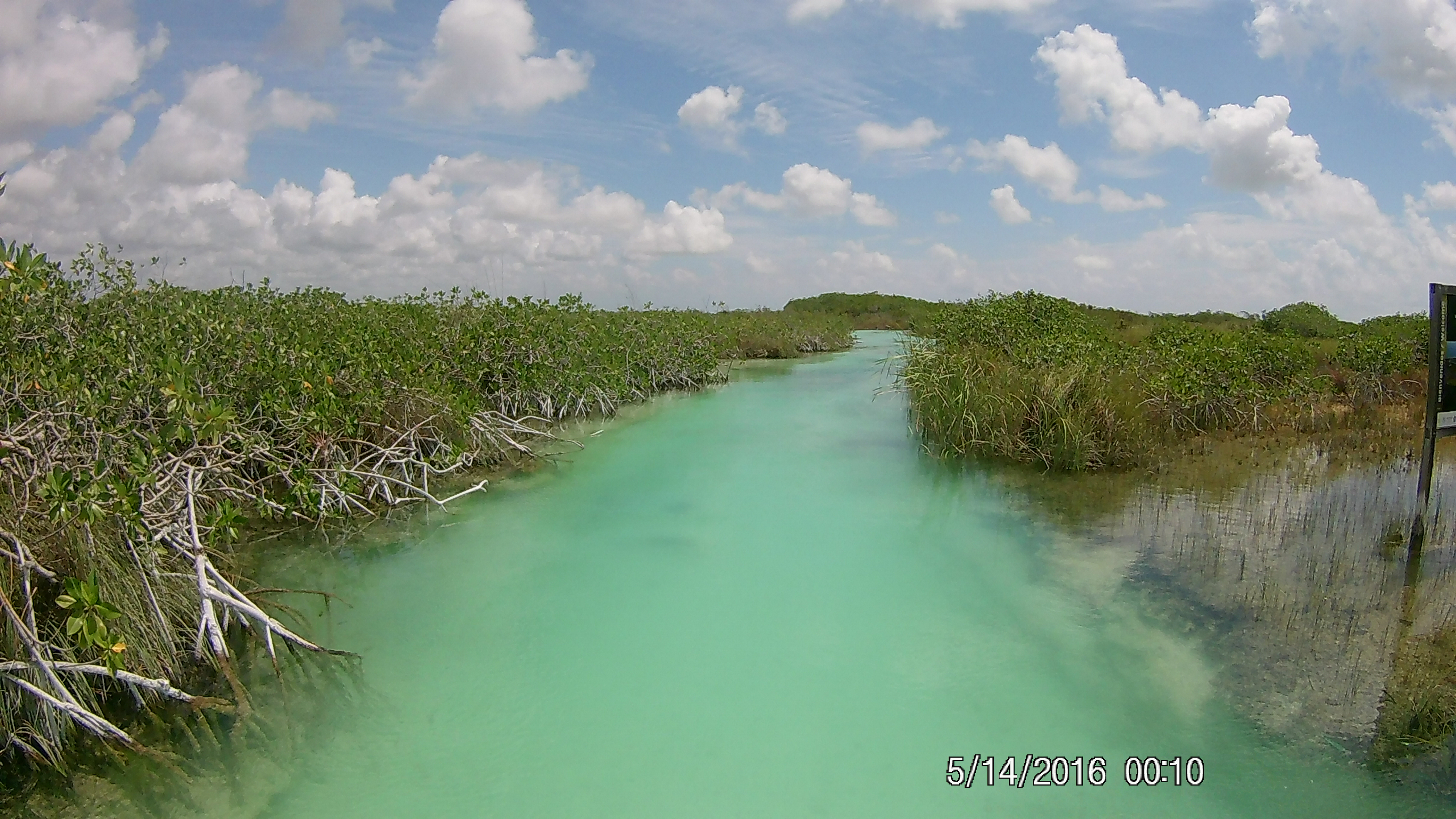 Sian Ka’an Floating Through Mayan Canals-Melanie | Agua Clara Diving Tulum