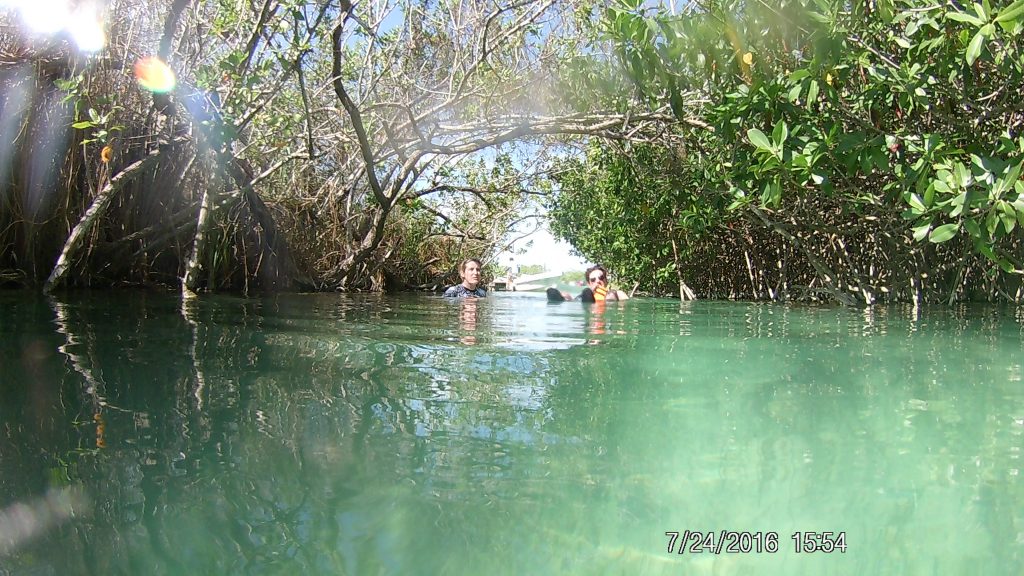 Sian Ka’an Floating Through Mayan Canals-Caitlin | Agua Clara Diving Tulum