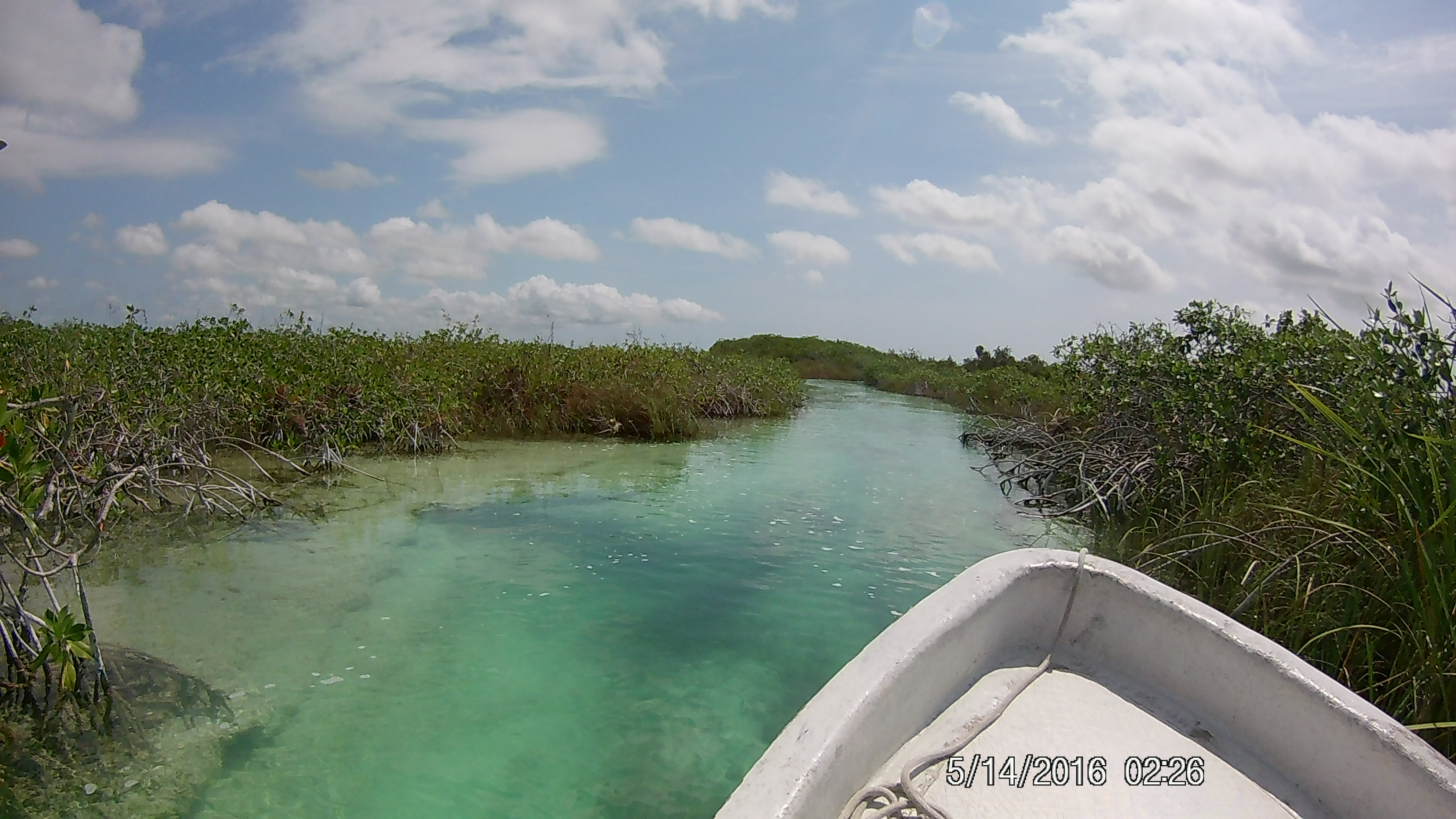 Sian Ka’an Floating Through Mayan Canals-Roland Code | Agua Clara ...