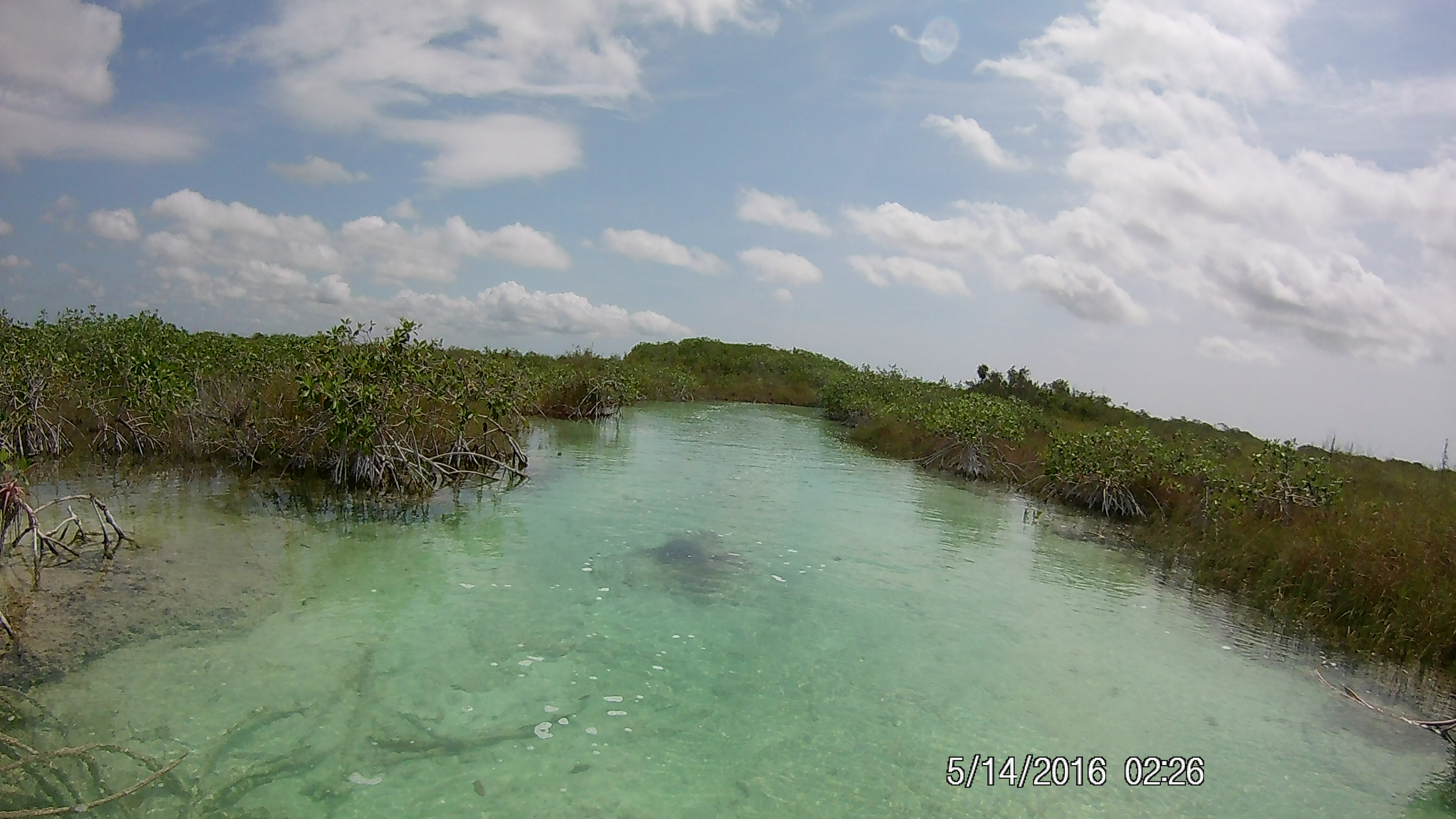 Sian Ka’an Floating Through Mayan Canals-Roland Code | Agua Clara ...