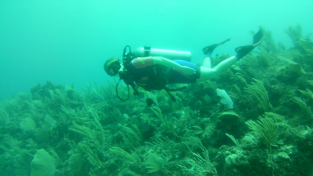 Reef Diving In Magical Tulum - Simon Karpp | Agua Clara Diving Tulum