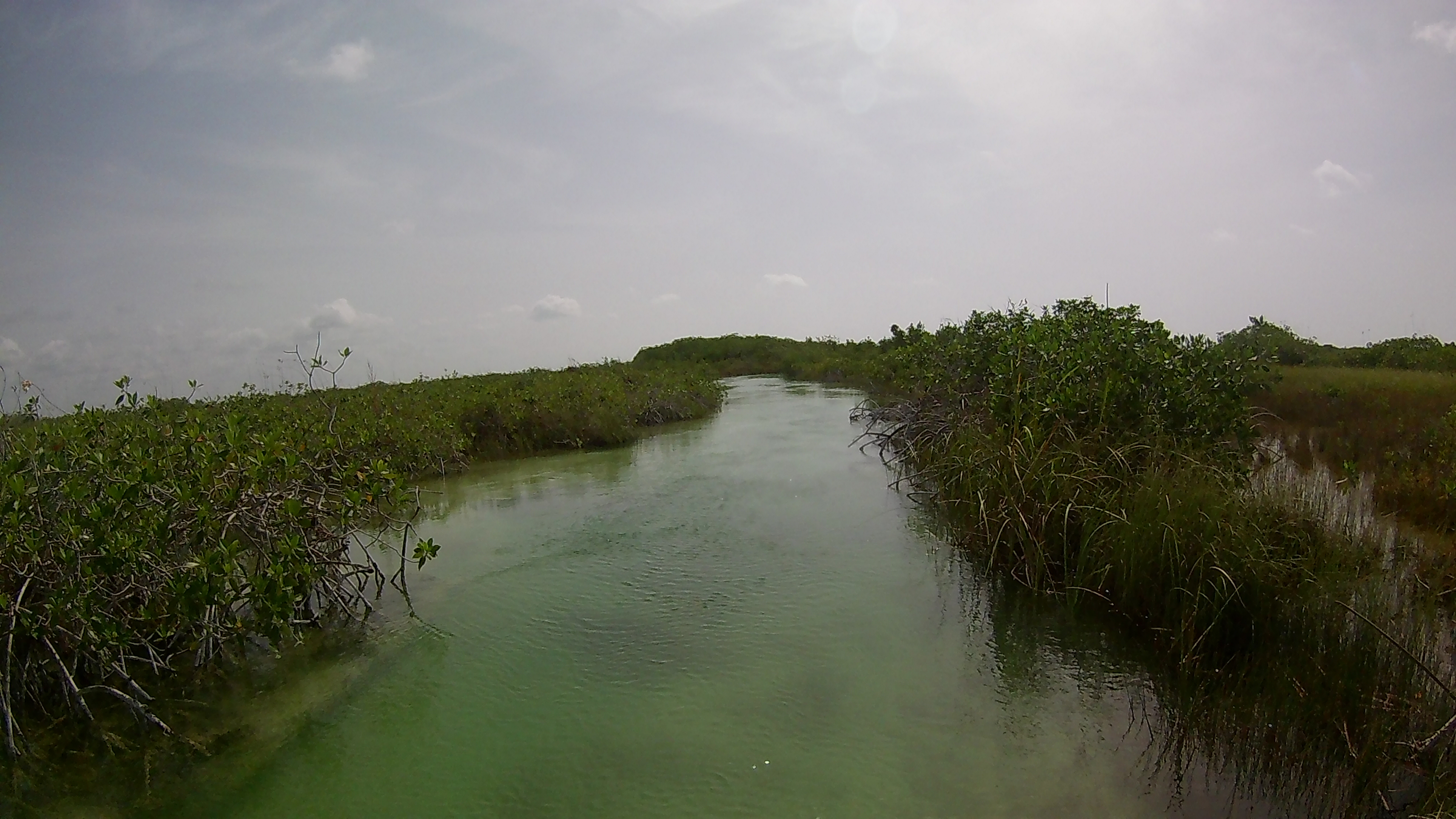 Sian Ka’an Floating Through Mayan Canals - Sarah & Meli | Agua Clara ...