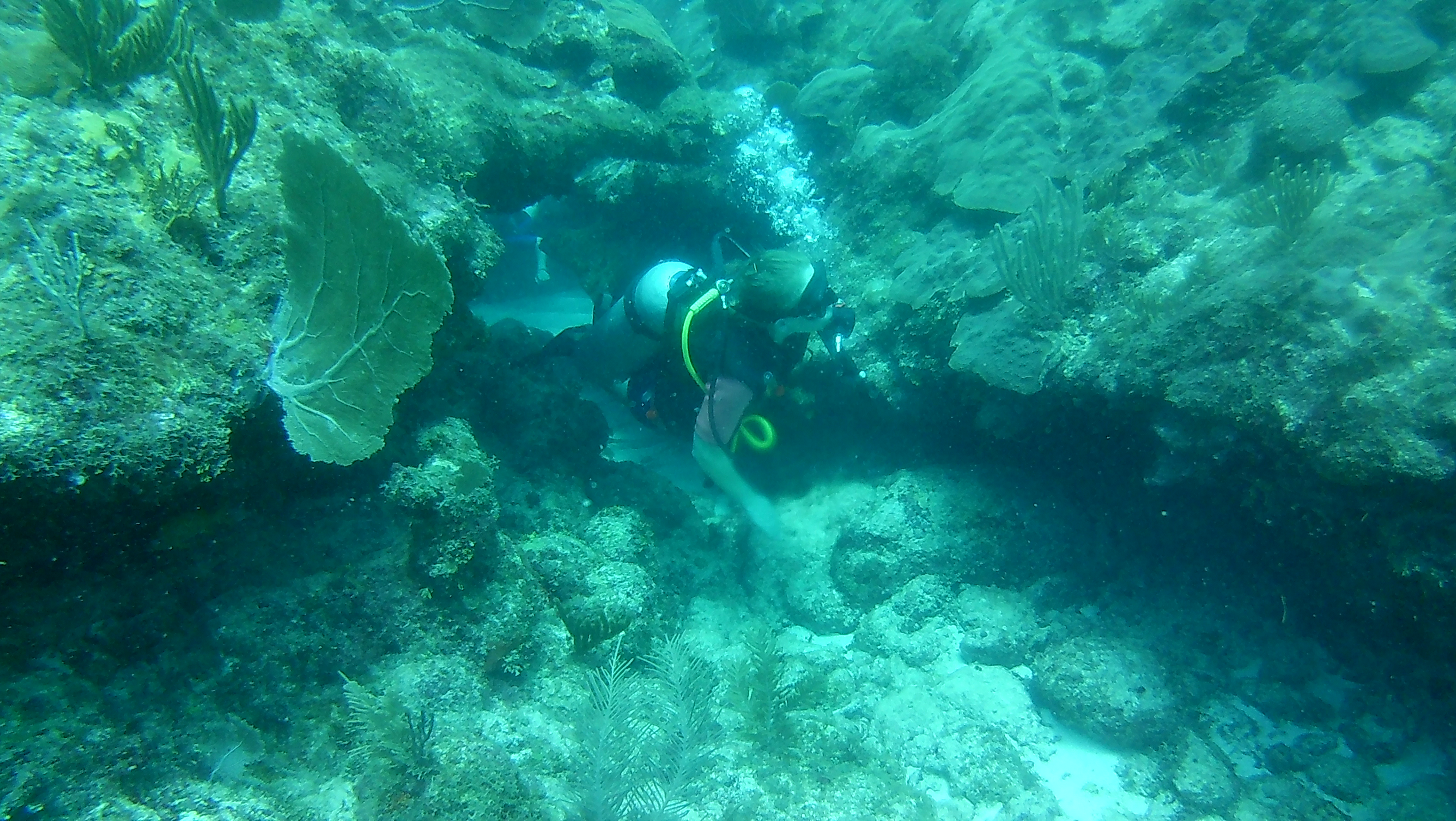 Reef Diving In Magical Tulum - Simon Karpp | Agua Clara Diving Tulum