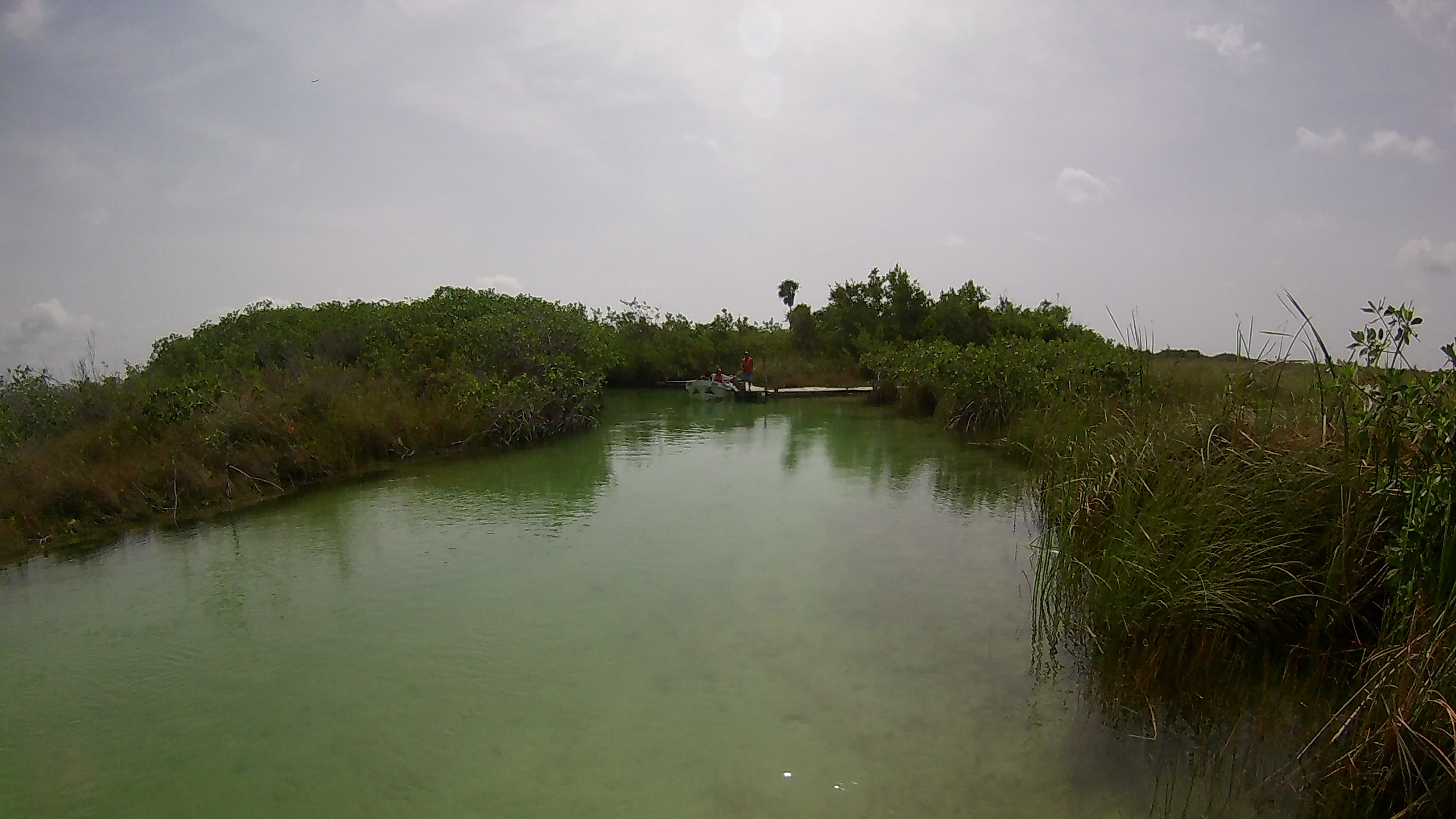 Sian Ka’an Floating Through Mayan Canals - Sarah & Meli | Agua Clara ...