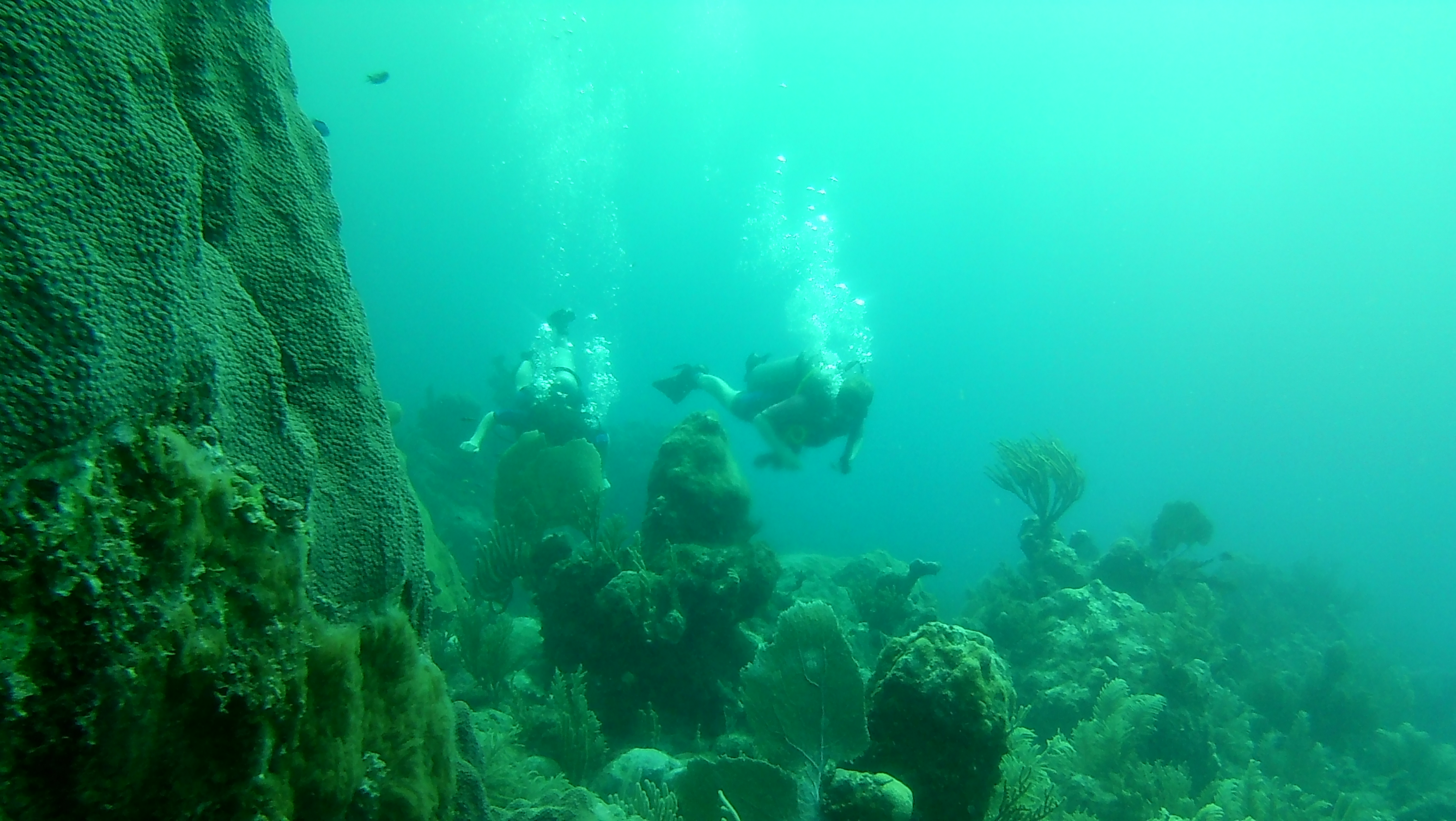 Reef Diving In Magical Tulum - Simon Karpp | Agua Clara Diving Tulum