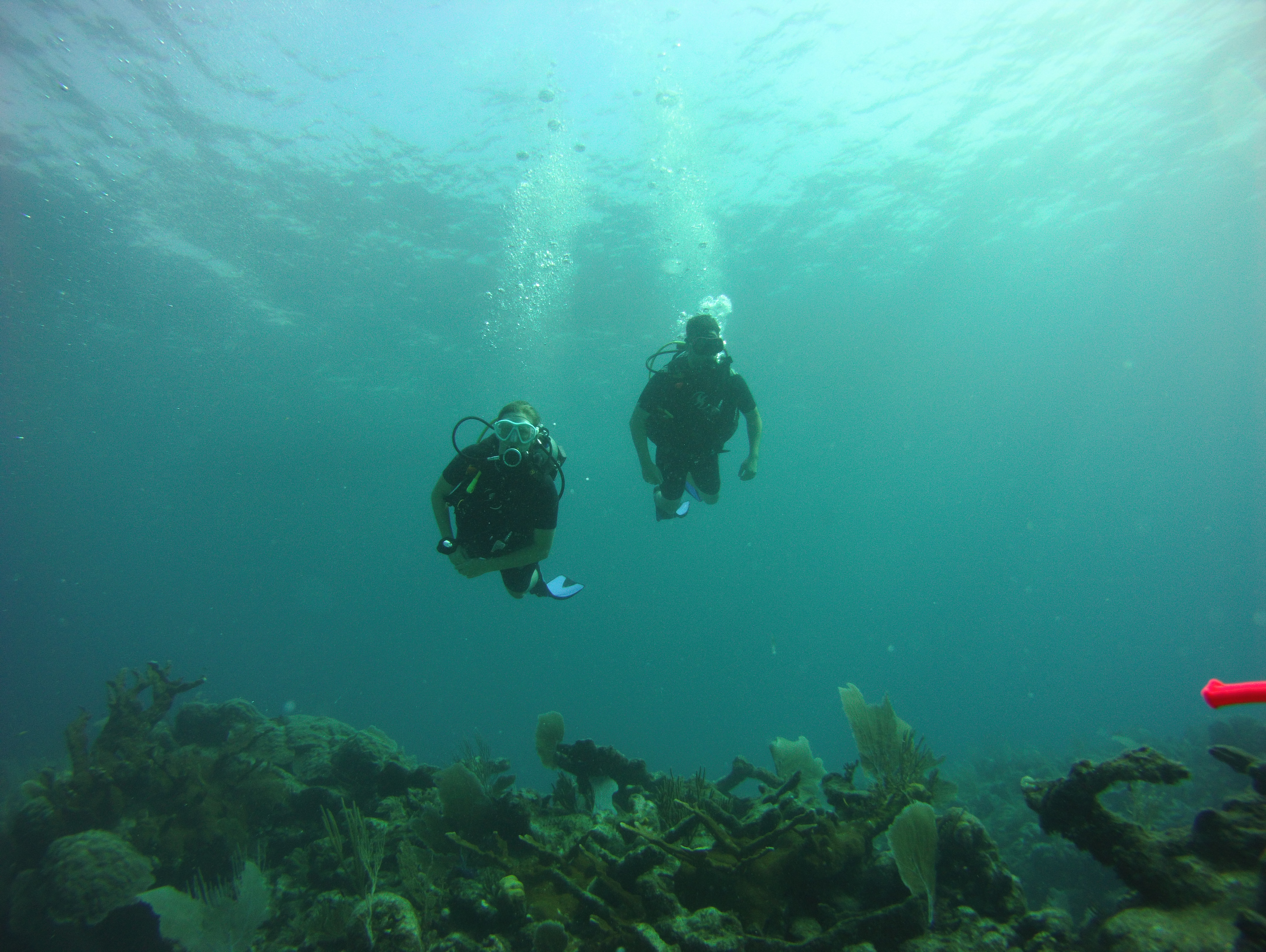 Reef Diving In Magical Tulum - Katie | Agua Clara Diving Tulum