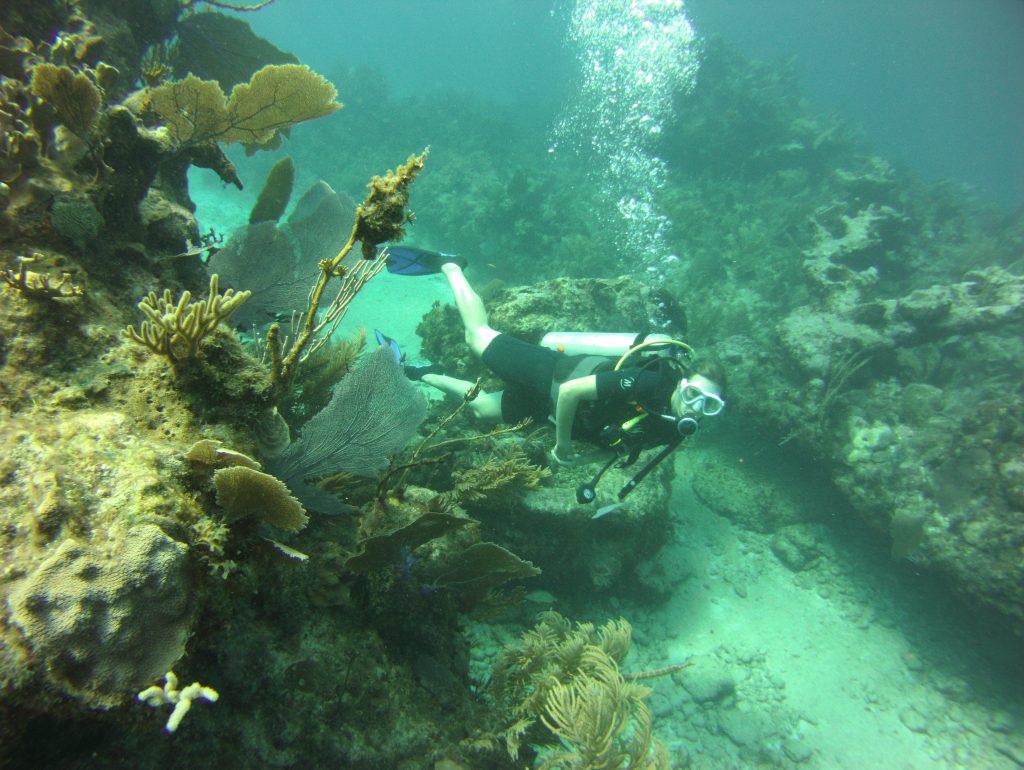 Reef Diving In Magical Tulum - Katie | Agua Clara Diving Tulum