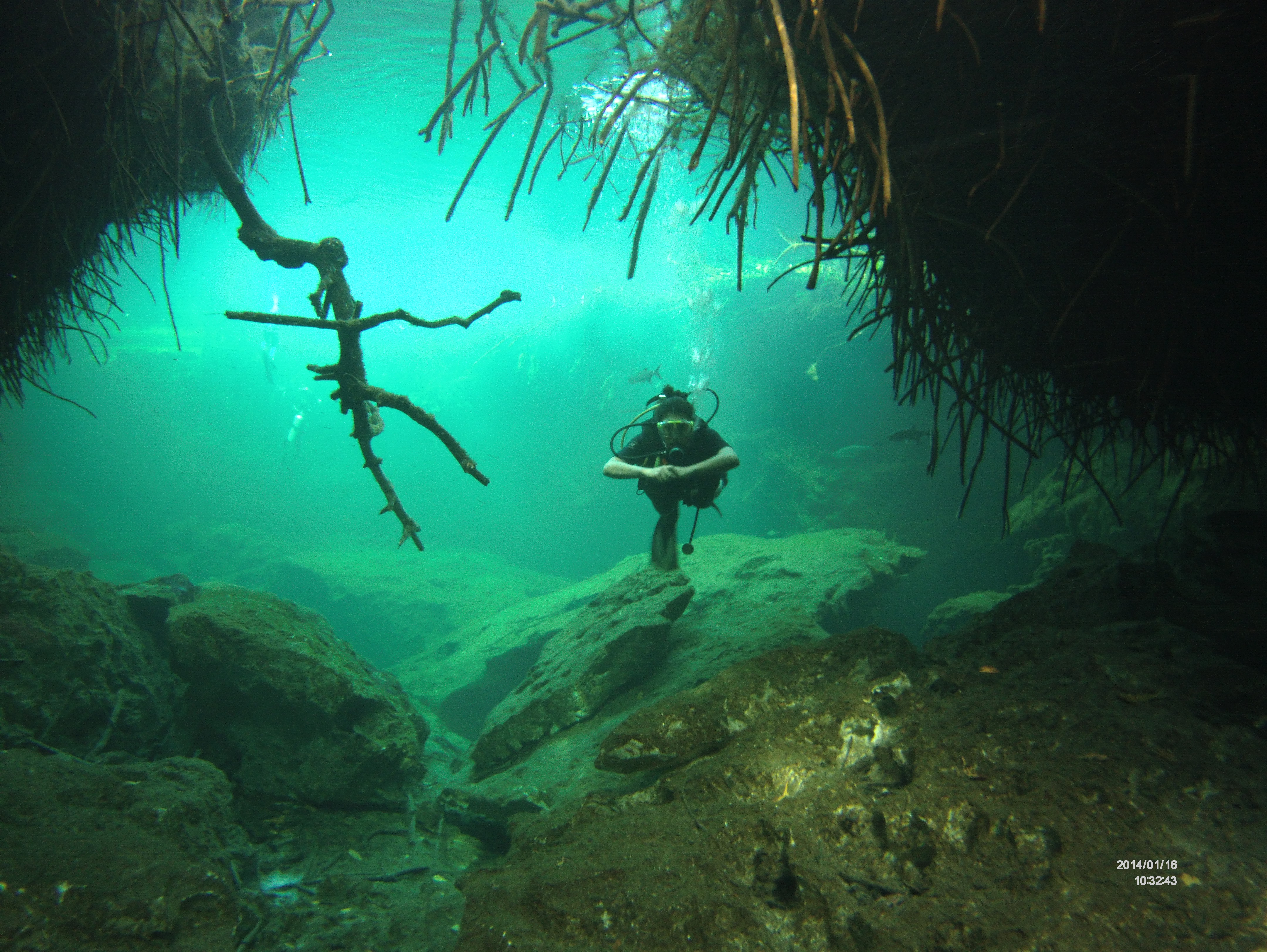 Reef Diving In Magical Tulum | Agua Clara Diving Tulum
