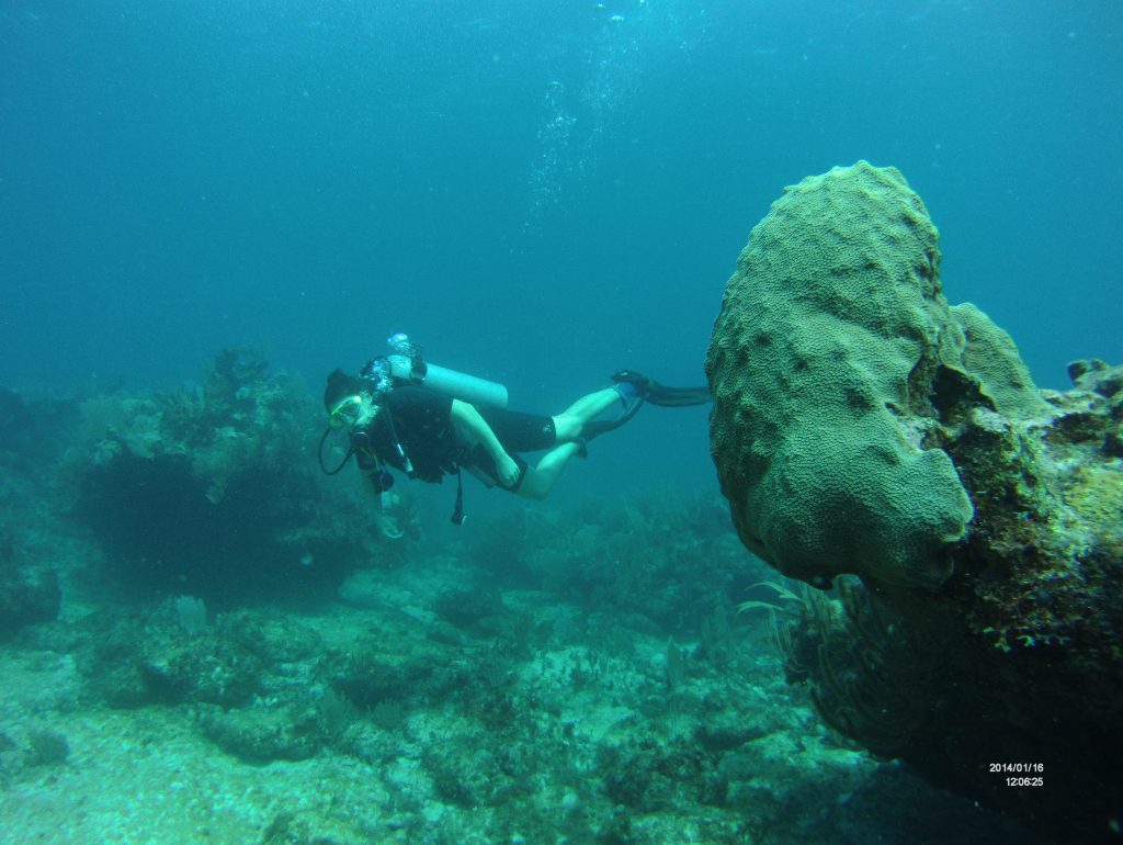 Reef Diving In Magical Tulum | Agua Clara Diving Tulum