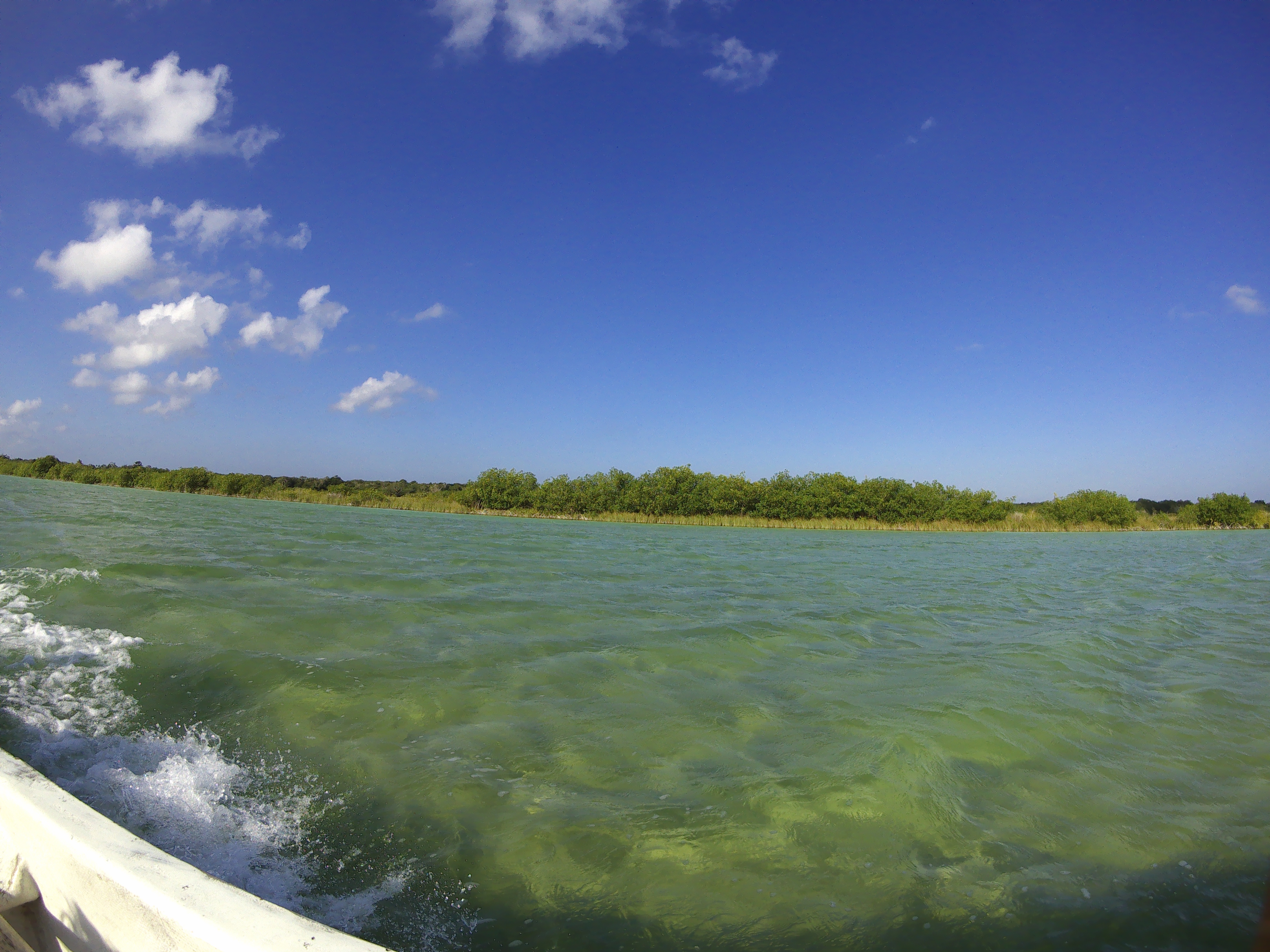 Sian Ka’an Floating Through Mayan Canals | Agua Clara Diving Tulum