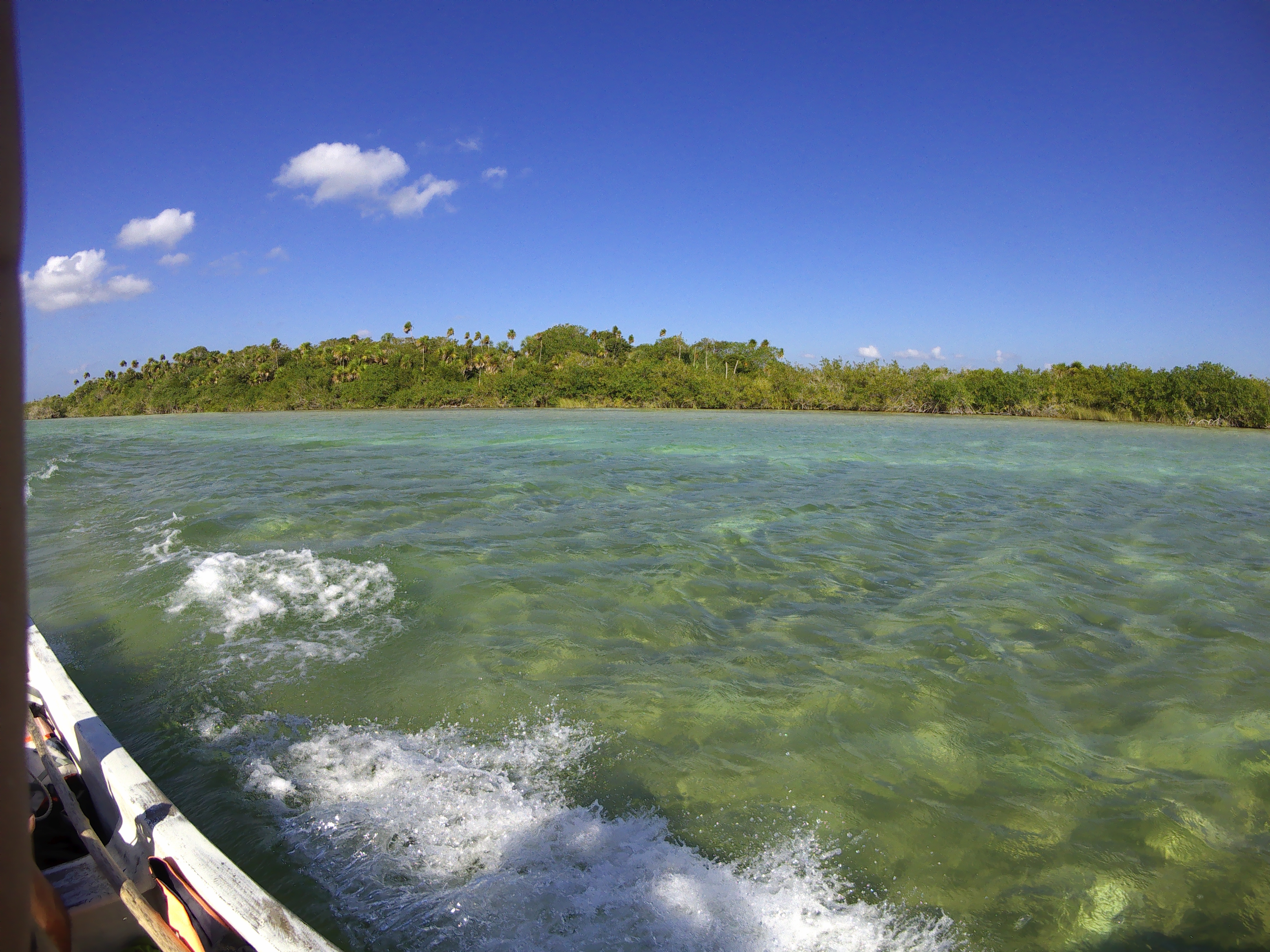 Sian Ka’an Floating Through Mayan Canals | Agua Clara Diving Tulum