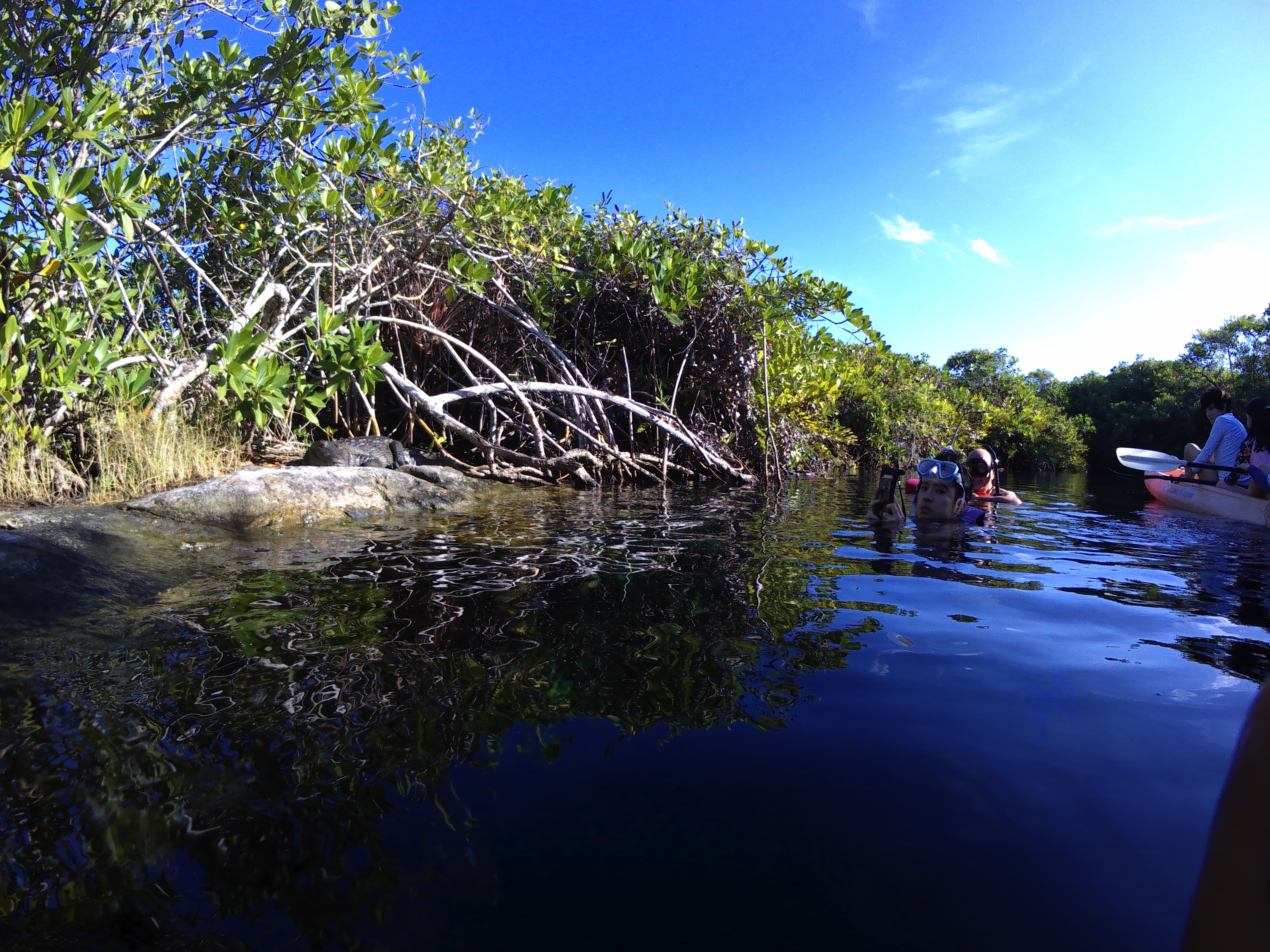 Snorkeling Tour In Magical Tulum | Agua Clara Diving Tulum
