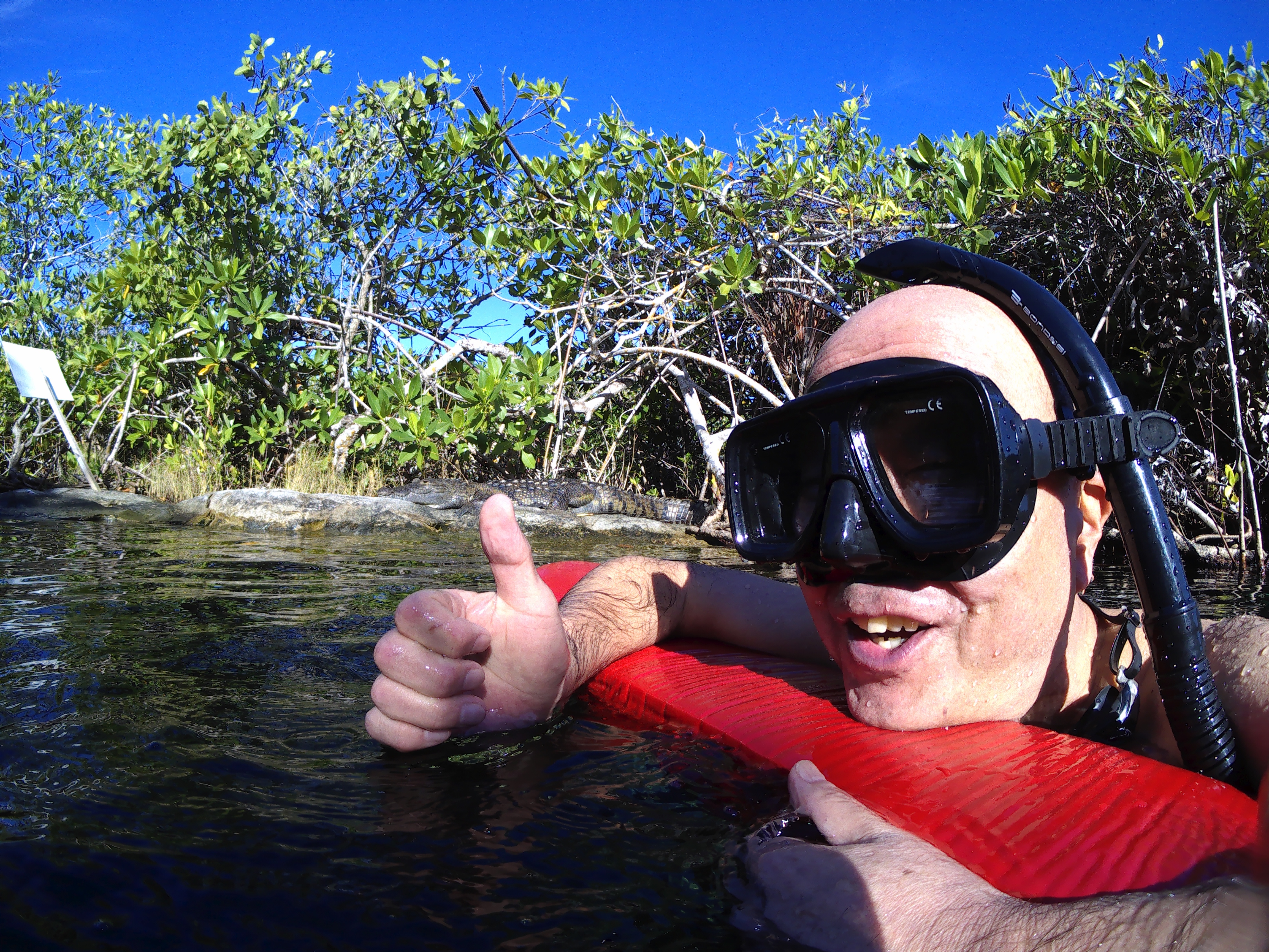 Snorkeling Tour In Magical Tulum | Agua Clara Diving Tulum