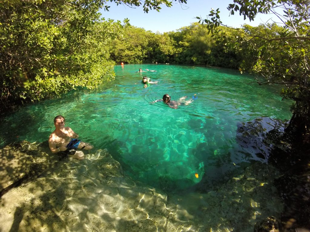 Tulum Snorkeling tour - Snorkel in different ecosytems