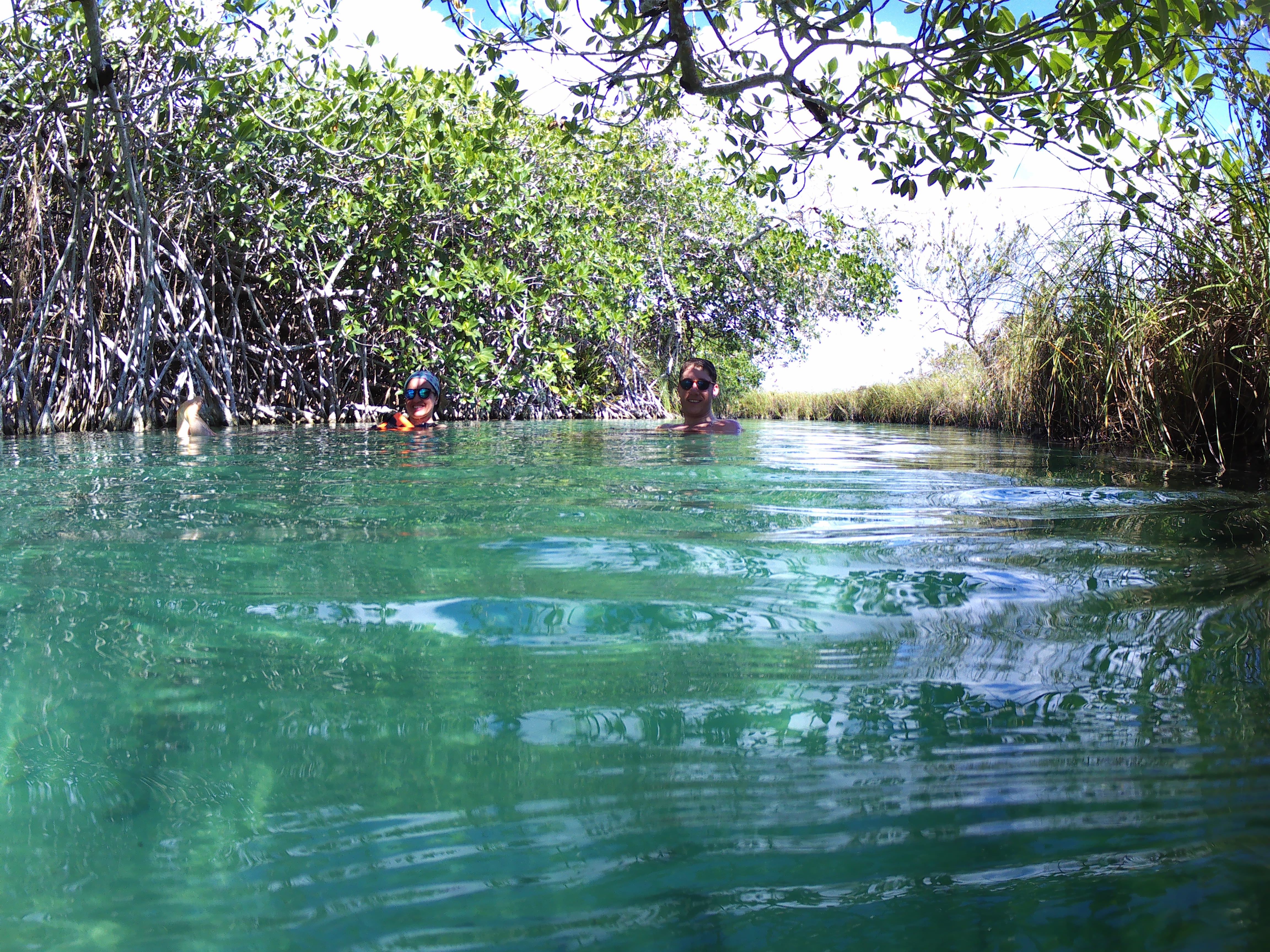 Sian Ka’an Floating Through Mayan Canals | Agua Clara Diving Tulum
